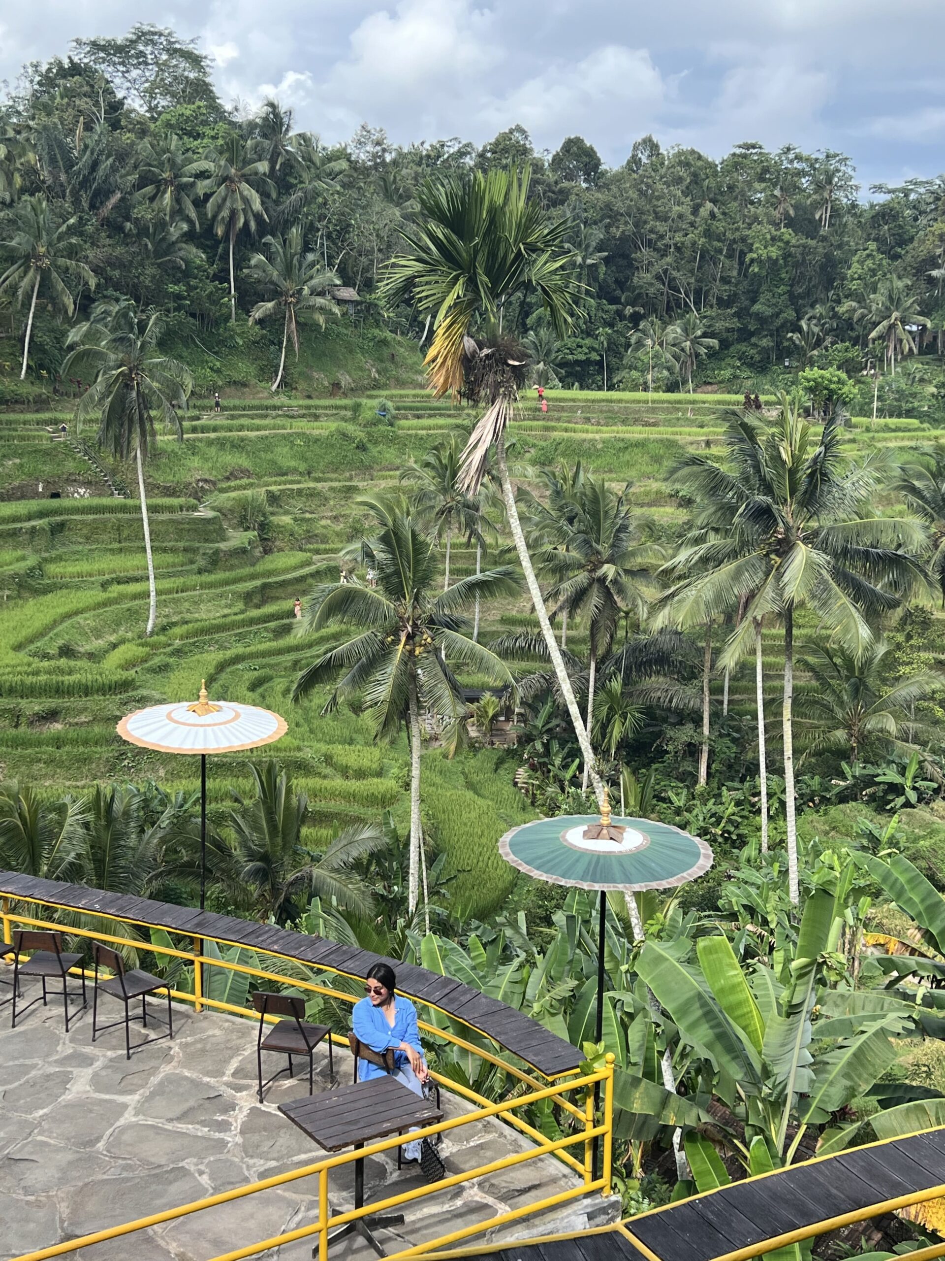 Exploring Ubud: Falling in Love with Nature at Tegalalang Rice Terraces ...
